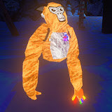 Members - Graffiti Program